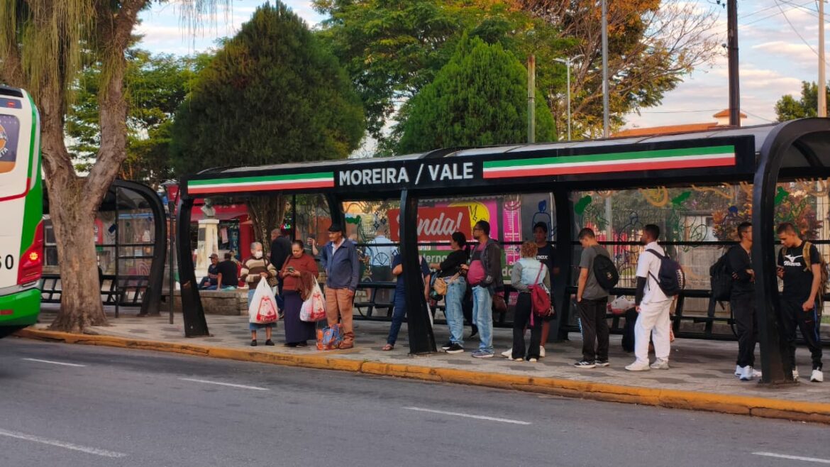 Pontos de ônibus ganham nova identidade e destacam Pindamonhangaba como ...